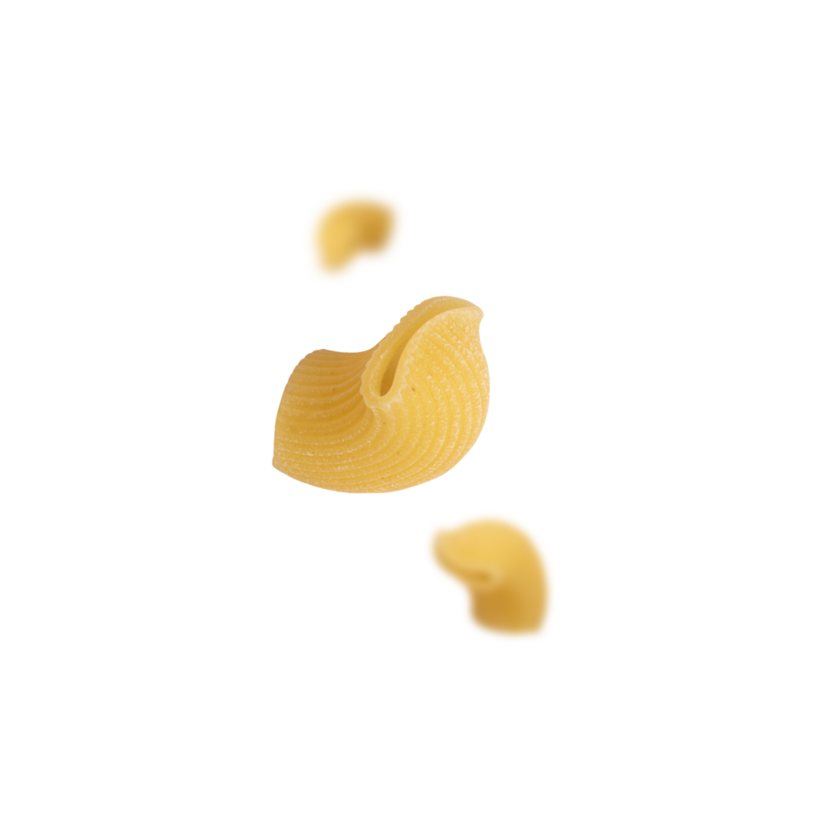 Lumache Rigate – Felicetti Pasta